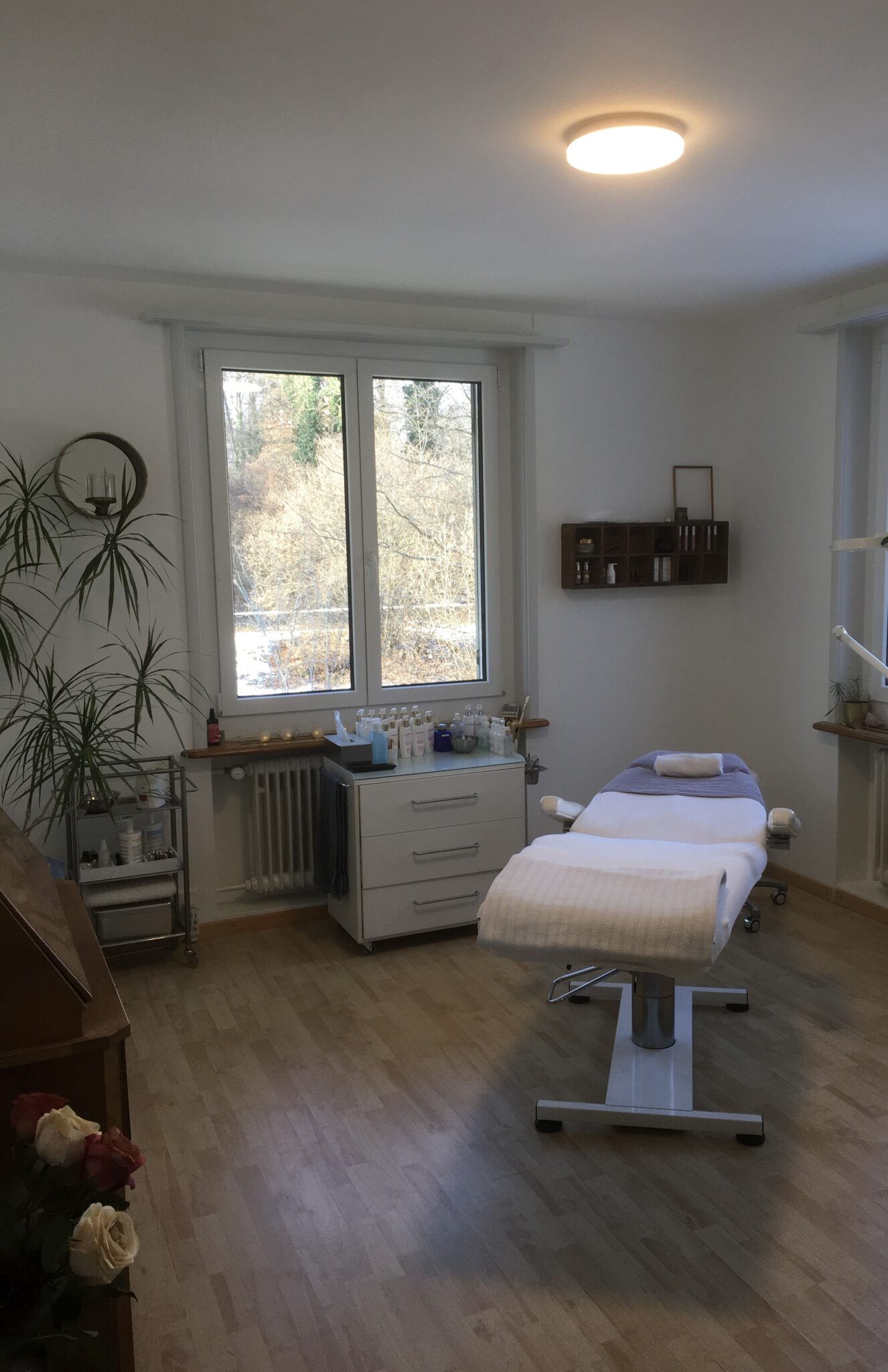 Claudine Zoss – EPI Extractions